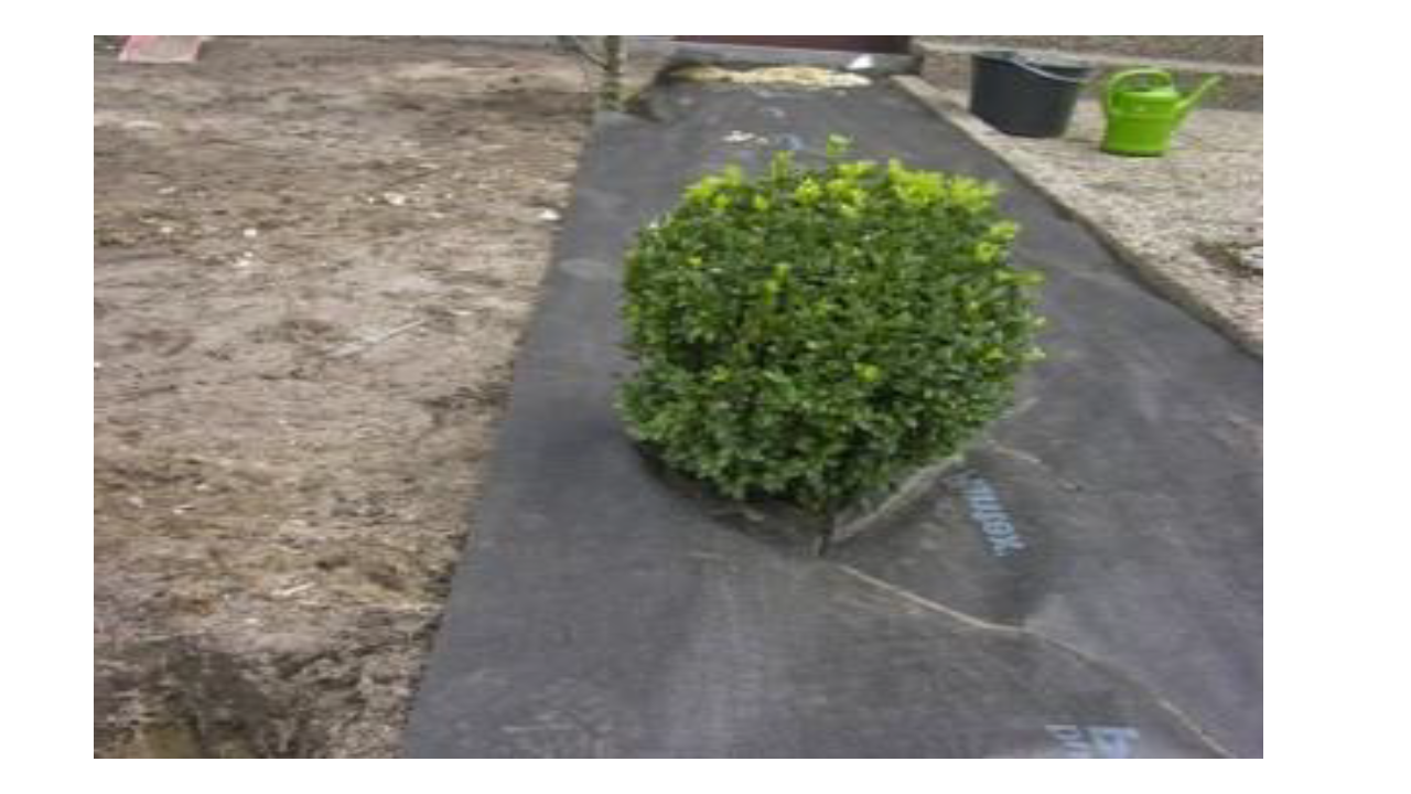 Dupont™ Plantex® Pro - Anti-infestantes